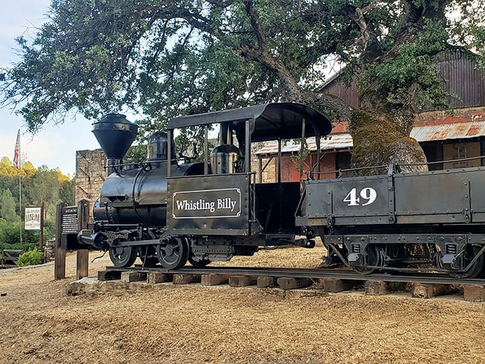 All aboard the "Whistling Billy"! This iron horse might not run anymore, but it's still the star of many a selfie.