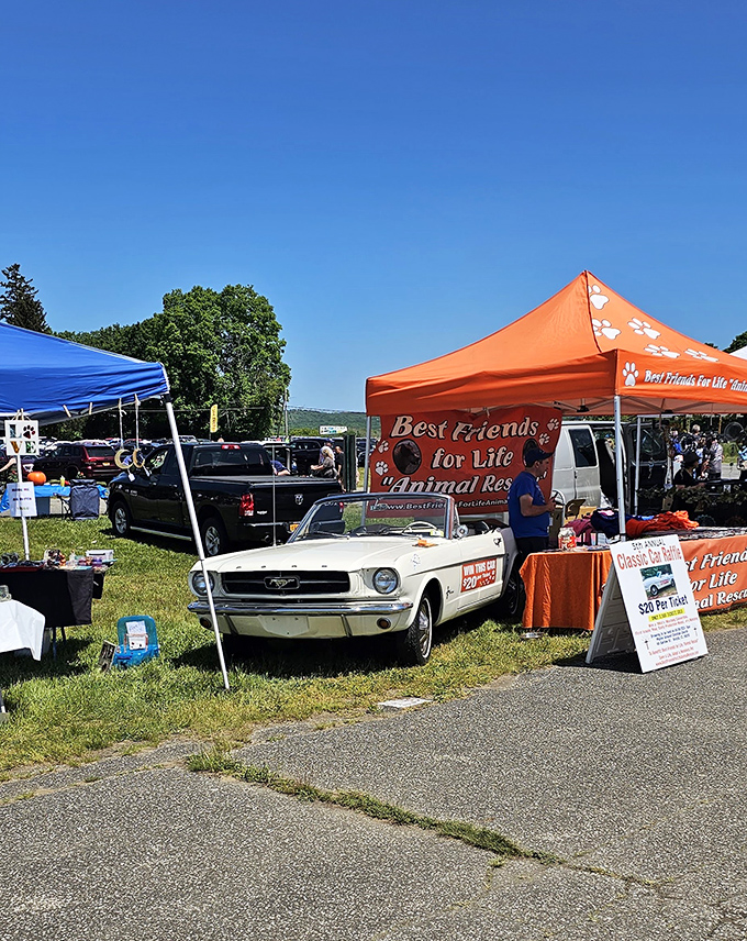 Calling all gearheads and nostalgia nuts! This classic car is more than transportation; it's a time machine on wheels.