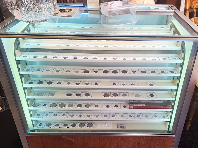 Coin collectors, prepare to flip! This display case is a numismatist's nirvana, showcasing circular snippets of history that'll make your wallet itch.