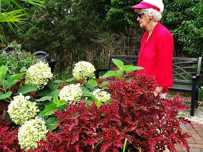 "Red alert! This vibrant visitor is giving the flowers a run for their money in the color department."