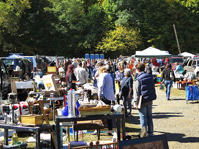Flea market fever in full swing! It's like Black Friday for the vintage-obsessed, minus the trampling and plus the charm.