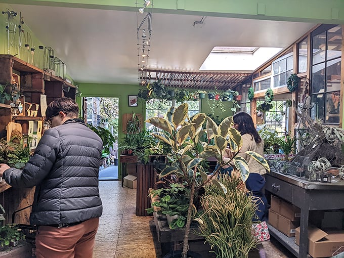 Explorers in their natural habitat! Visitors navigate this wonderland of oddities like modern-day Indiana Joneses, minus the boulder chases.