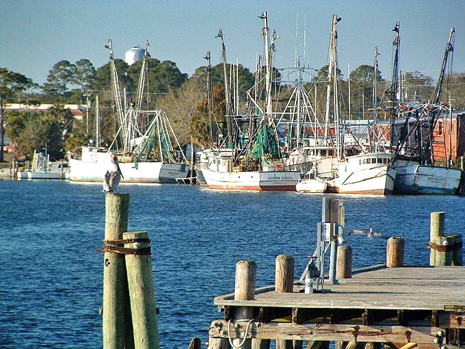 Apalachicola: Where oysters are king and relaxation is mandatory. This aerial view showcases a seafood lover's paradise.