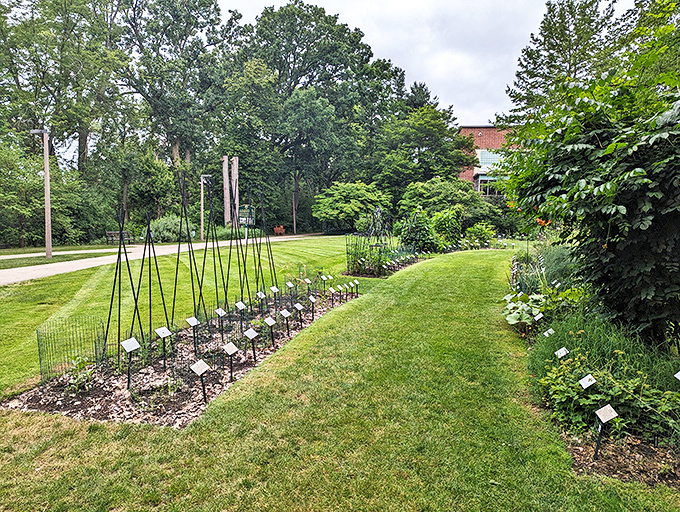 Beal's garden path: Where every step is a botany lesson. No pop quiz at the end, I promise!