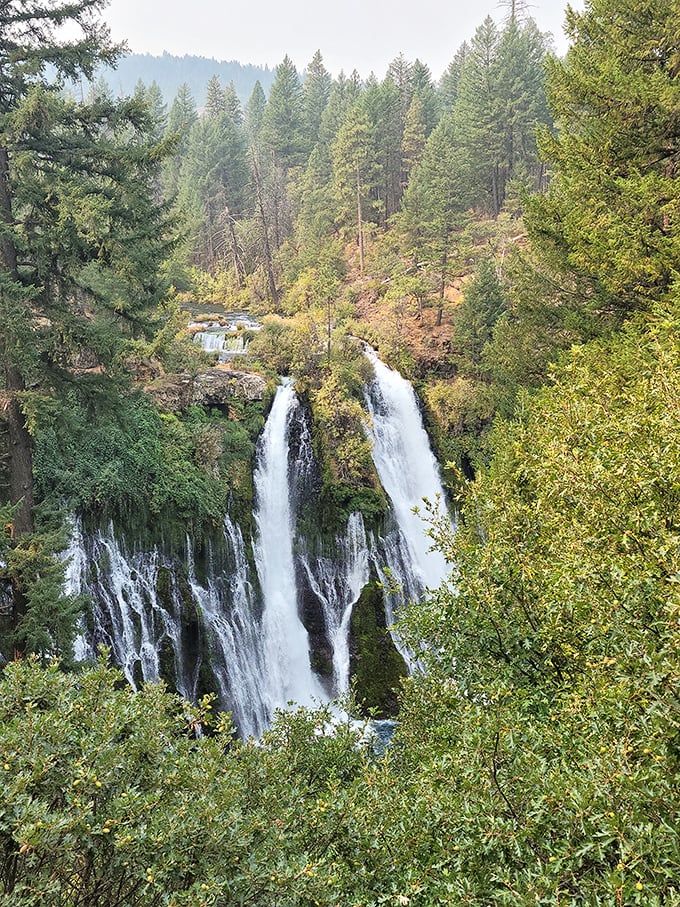 Burney Falls: Niagara's laid-back Californian cousin. All the wow, none of the tourist traps.