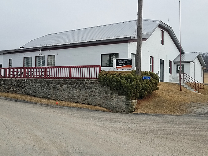 Cedar Grove Cheese: Don't let the plain exterior fool you! Inside lies a cheese lover's paradise that's anything but ordinary.