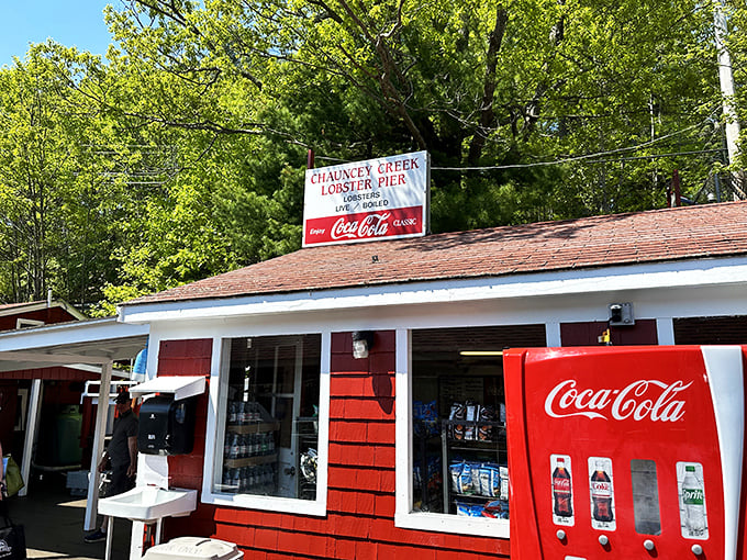 Chauncey Creek: BYOB means Bring Your Own Bib. They'll handle the lobster, you handle... well, everything else!