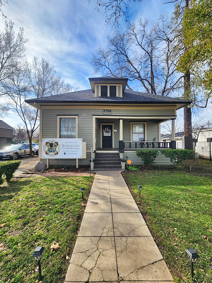 Chico Cat Cafe: Where every cat is the mayor of Cozy Town. It's like stepping into a warm hug, but with more purring.
