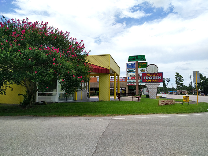 Connie's Frozen Custard: This sunny yellow stand is brighter than my future... especially when that future involves custard.
