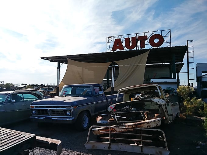 Rust never sleeps, but it sure tells great stories! This automotive graveyard is a treasure hunter's paradise.