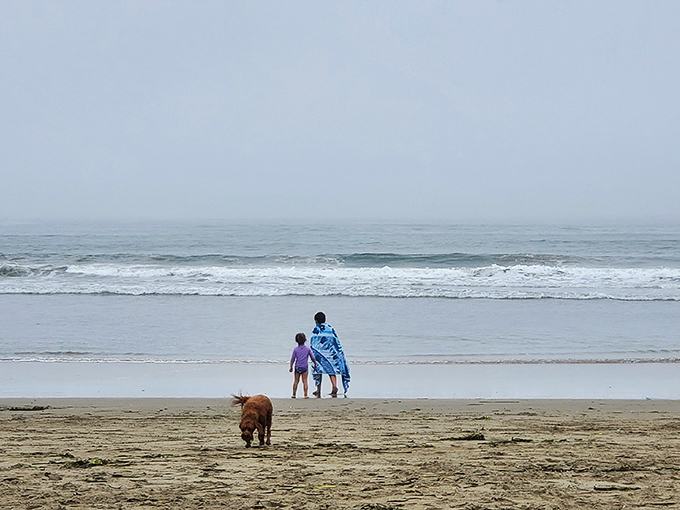 Misty morning meet-up! A lone dog and its human enjoy a peaceful moment by the foggy shore.