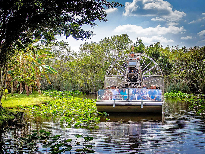 Glide into gator territory at Everglades Safari Park. It's the closest you'll get to being a swamp superhero!