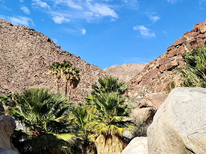 Wow! You found a true desert oasis hidden among the red rocks. Enjoy this stunning, shady spot!