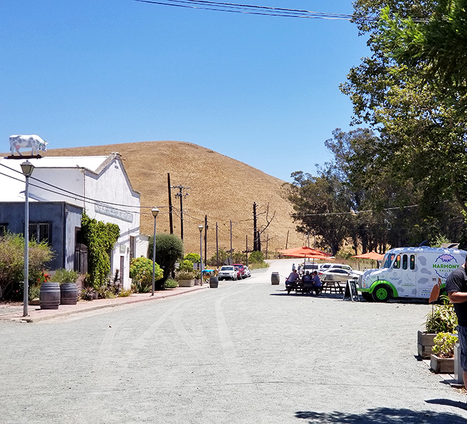 Population: Tiny. Charm: Enormous. Welcome to Harmony, where even the cows are part of the welcoming committee!