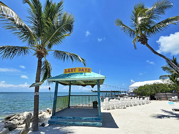 Lazy Days: Where 'island time' means it's always time for another round of mouthwatering seafood.