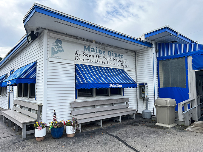 The Maine Diner: Where seafood dreams come true. Dive into award-winning chowder that's got more fans than a lobster has legs.