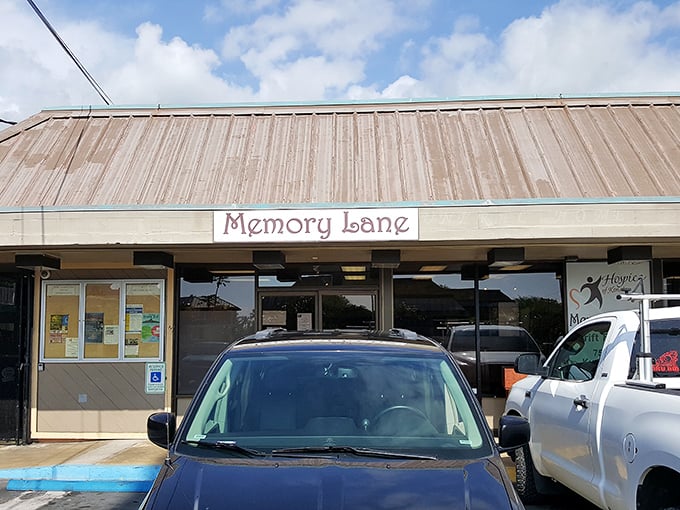 "Memory Lane: Where nostalgia comes with a price tag (a very reasonable one). It's like your grandma's attic, but with better lighting and no dust!"