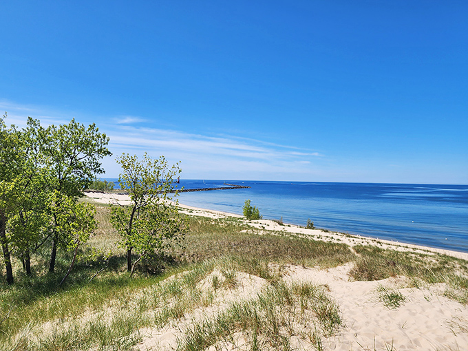 Muskegon's double feature: Lake Michigan's waves or Muskegon Lake's calm? It's like nature's own choose-your-own-adventure book!