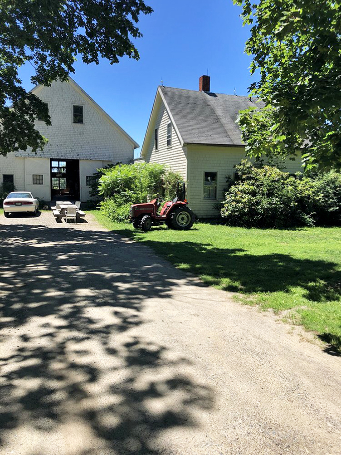 Oyster River's barn: Where sustainable wines are born. It's like a yoga retreat for grapes, resulting in zen-like sips!
