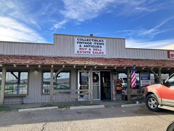 Pickers Shack: Where rustic charm meets hidden treasures. It's like stumbling upon a gold mine disguised as a humble abode!