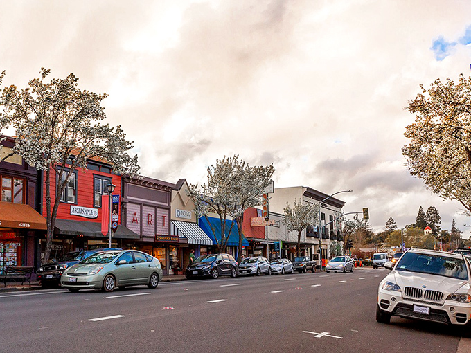 Sebastopol's Main Street: A colorful canvas of local flavor. It's like someone spilled a rainbow, but in the best possible way.
