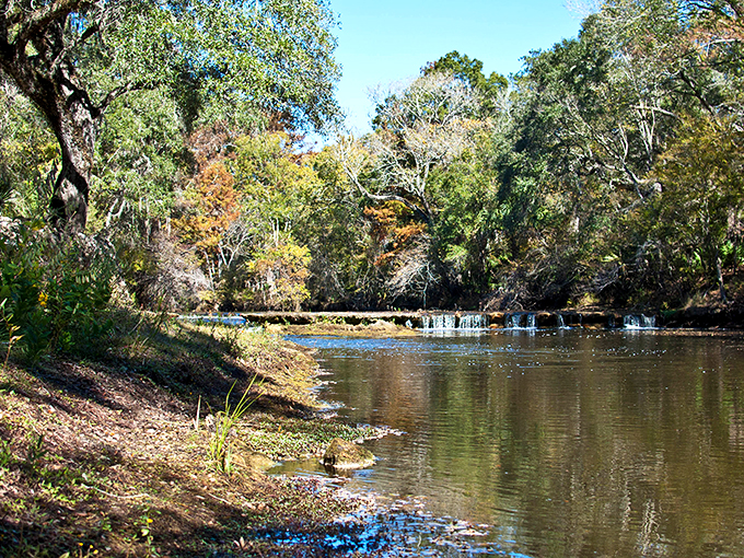 Now you see it, now you don't! This seasonal waterfall is like Florida's own magic show &ndash; appearing and disappearing with the rains.