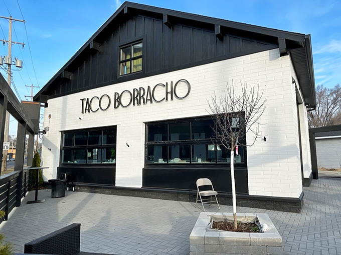 Taco Borracho: Grand Rapids' sleek and chic taco haven. It's where modern design meets timeless flavors &ndash; a feast for eyes and taste buds alike.