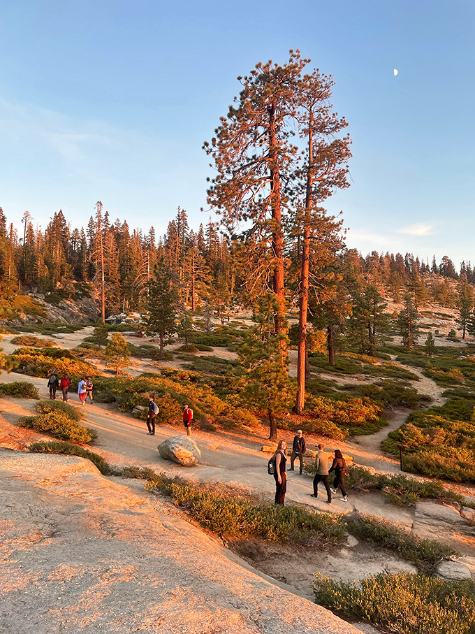 Taft Point: Nature's thrill ride without the long lines. Vertigo sufferers, look away now!