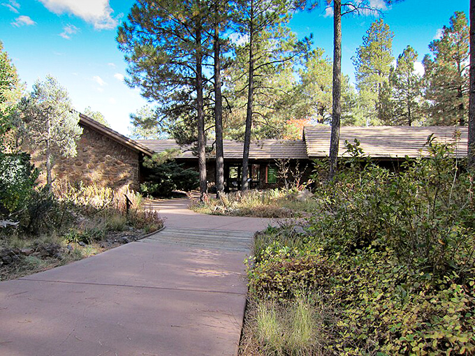 Nature's VIP lounge at 7,000 feet. The Arboretum at Flagstaff is where plants go to show off their coolest outfits.