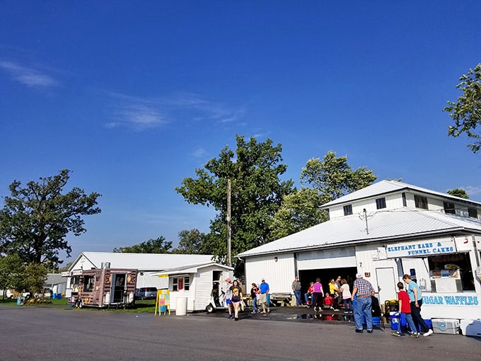 Tiffin's fairground flea market: Where Midwest charm meets bargain hunting. It's a twice-monthly festival of finds that'll make you go "Oh my!"