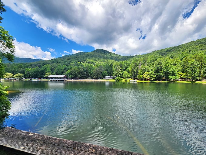 Vogel State Park: Where the beach comes with a side of mountain views and a sprinkle of pine-scented air. It's like a nature sandwich, and you're invited to take a bite.
