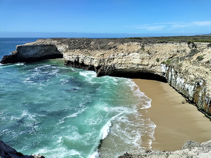 Wilder Ranch: Where coastal views meet cowboy boots. It's like the Wild West decided to take a beach vacation!