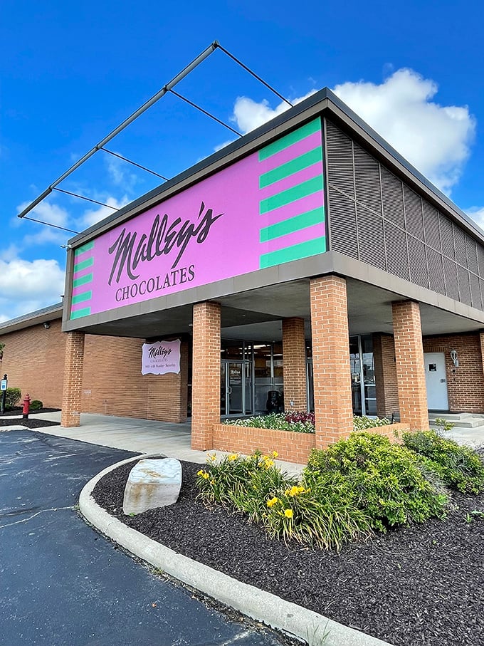 Malley's: Cleveland's sweetest secret! This purple and green palace is where chocolate gets its groove on.
