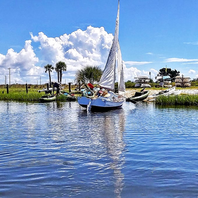 Apalachicola's working waterfront: Where boats bring in treasures from the sea. Fresh seafood with a side of maritime charm.