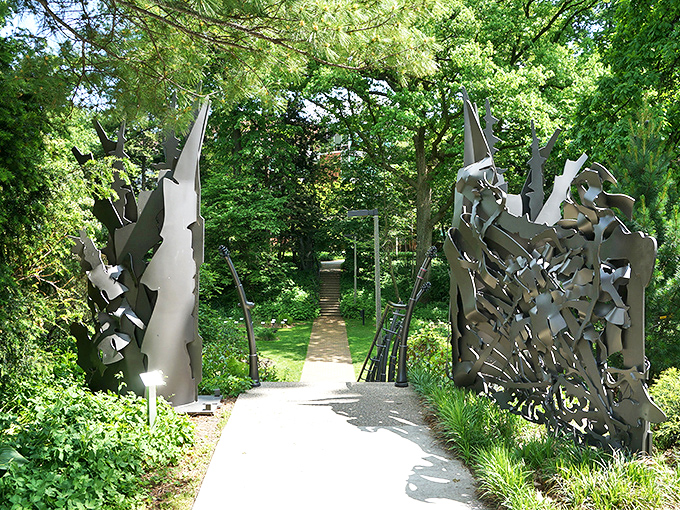 CSI: Plant Edition at Beal Botanical Garden. Unraveling the mysteries of the plant kingdom, one family at a time!