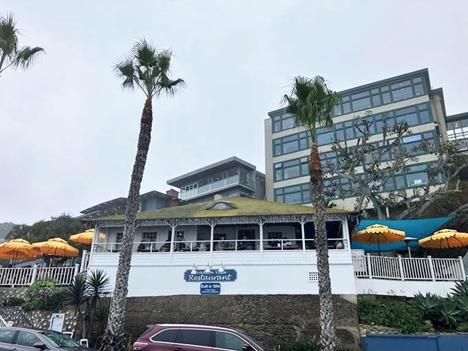 Breakfast with a side of Pacific panorama! Brockton Villa's historic charm and breathtaking vistas make every meal feel like a special occasion.