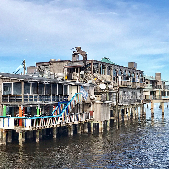 Cedar Key's waterfront: Weathered docks, artist havens, and the freshest seafood. It's like a Hemingway novel come to life!