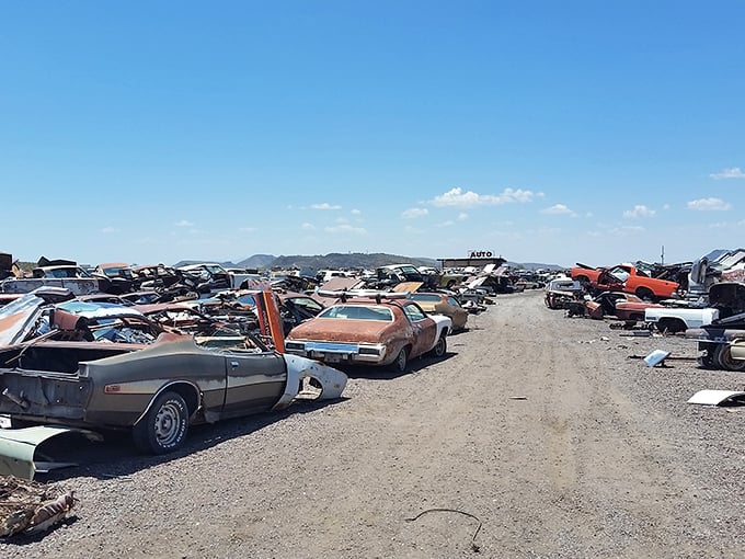 It's like 'Mad Max' meets 'Antiques Roadshow'! Every rusted fender here has a tale to tell.