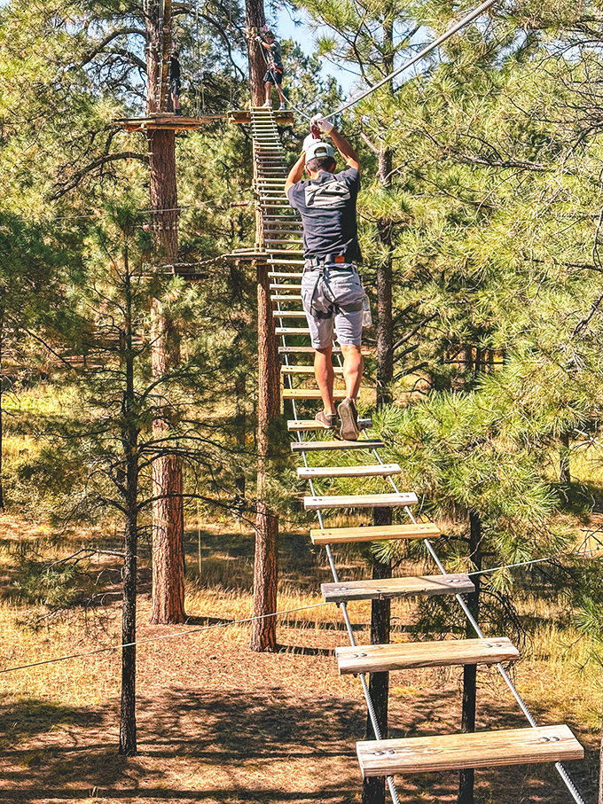 Sky-high adventure: Who needs a stairway to heaven when you've got zip lines through the treetops?