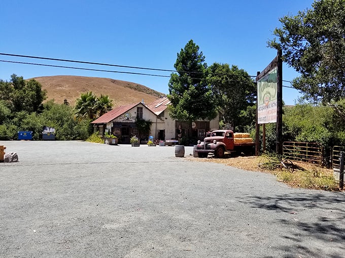 Step back in time! You'll love exploring the rustic charm and historic atmosphere of this hidden California gem.