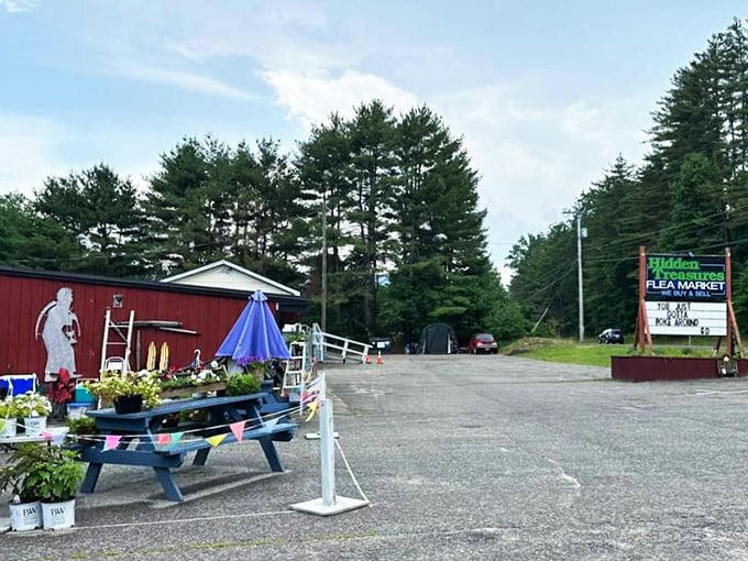 Forget your GPS, let curiosity be your guide. Every aisle is a new adventure waiting to happen!