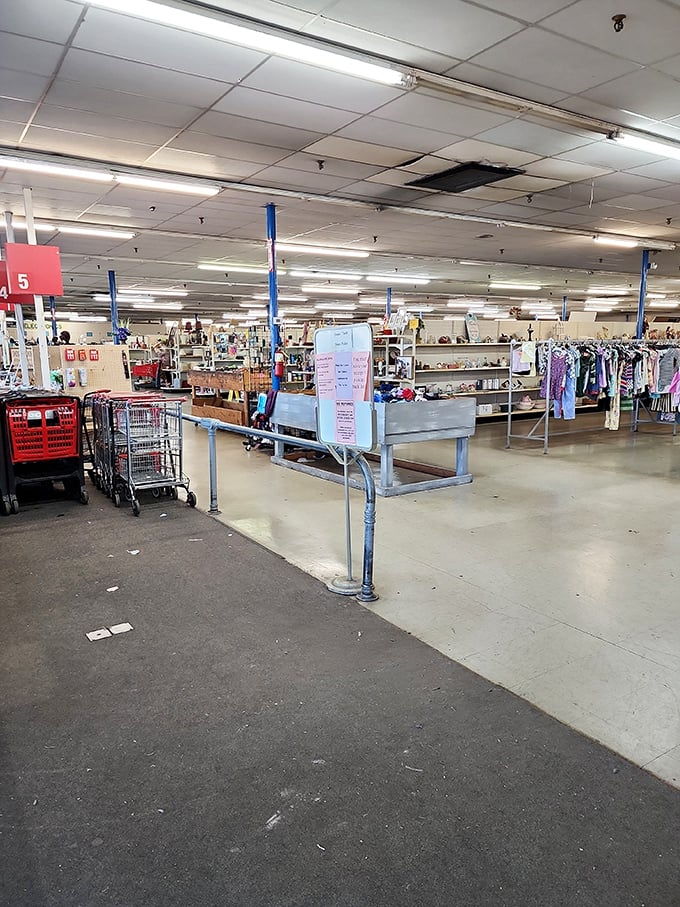 Open sesame to savings! Hope's Chest isn't just a store; it's a cave of wonders where every purchase tells a story.