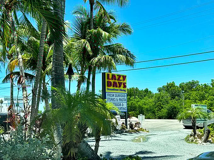 Paradise found! Lazy Days serves up views so good, you might forget to eat. But don't &ndash; the food's spectacular too.