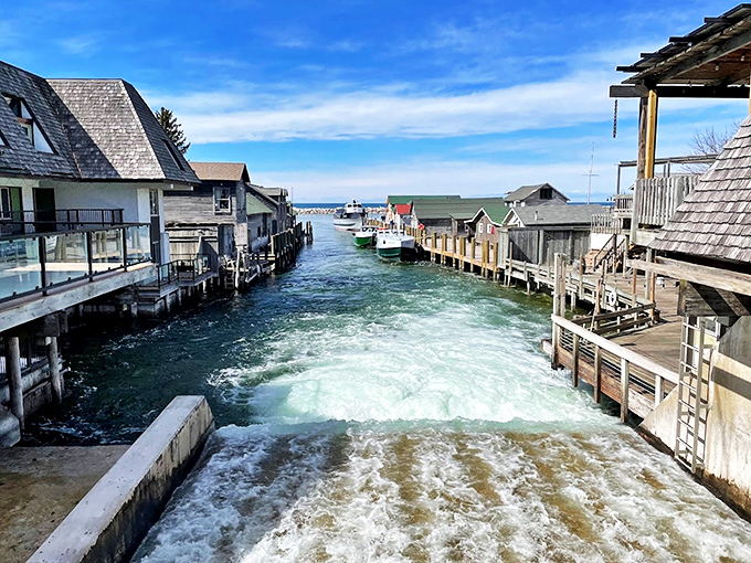 Saugatuck's waterfront charms! From cozy docks to inviting shops, it's a slice of maritime magic.