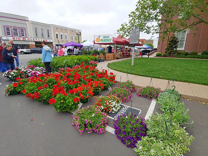 Blooming flowers paint the market square in brilliant colors, transforming mundane parking spaces into a garden marketplace.