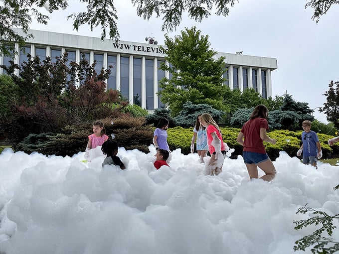 Laser tag meets playground paradise. It's like your childhood dreams grew up and threw a party &ndash; and you're invited!