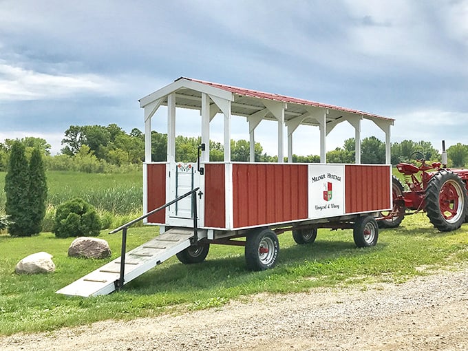 All aboard the grape express! Millner's vineyard wagon rides are like a hayride, but with more giggles and fewer hay bales.