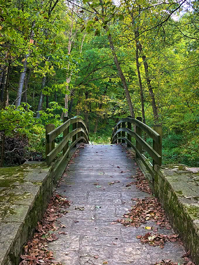 Nature's own stairmaster at Mississippi Palisades. The walk is worth it – views so good should come with a warning label!