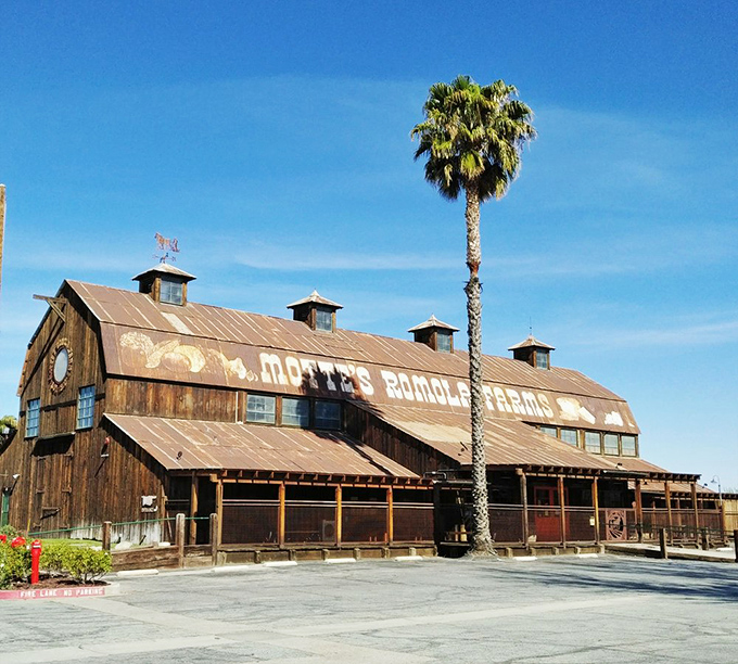 Route 66 decided to park all its memories here! It's a slice of Americana so sweet, you might get nostalgic for places you've never been.