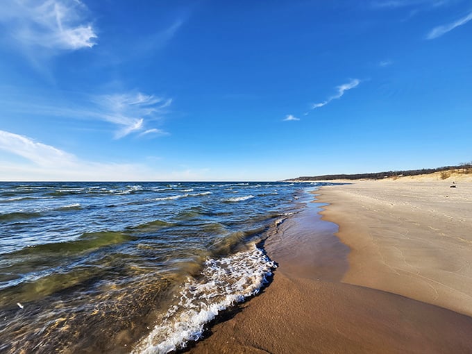 Who says you can't have it all? Muskegon serves up forests, dunes, and beaches &ndash; it's the buffet of state parks!